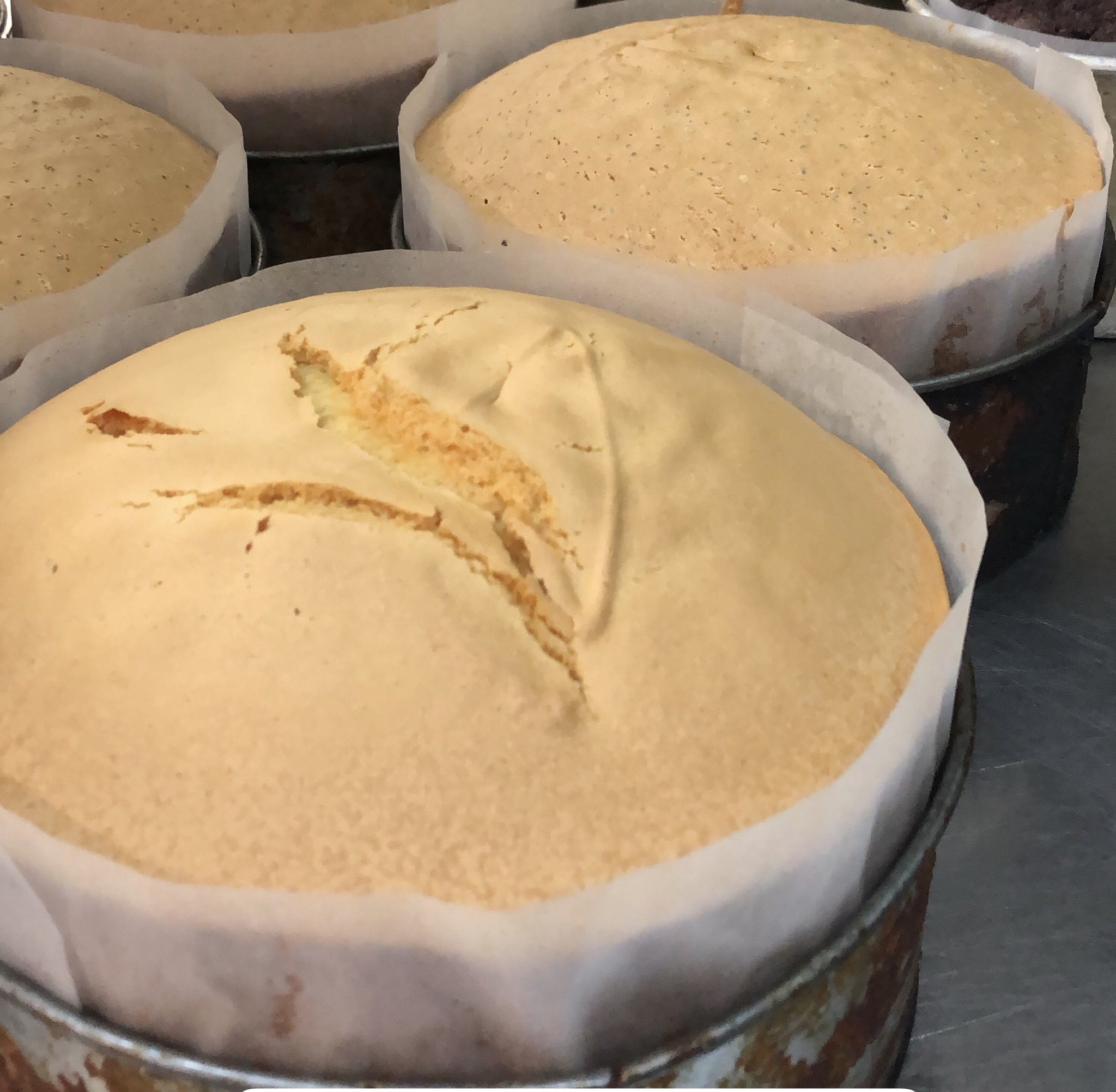 Naked Round Cakes — Mondo Kitchen Naked Cakes & Decorating Supplies